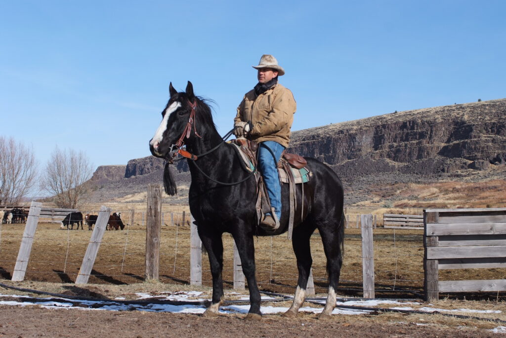 The Roaring Springs Ranch