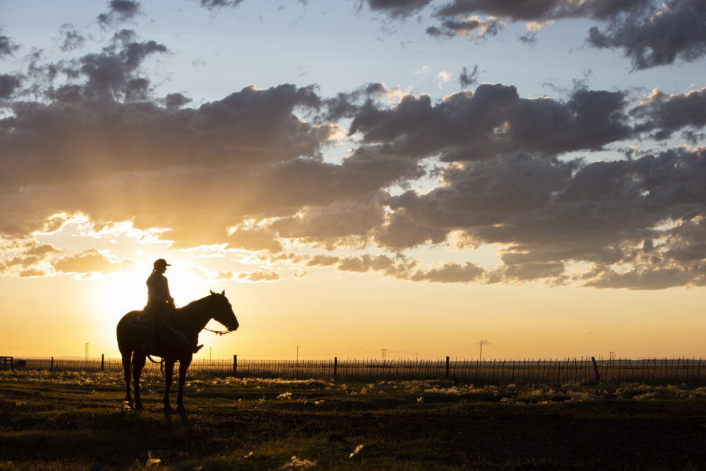 The Roaring Springs Ranch